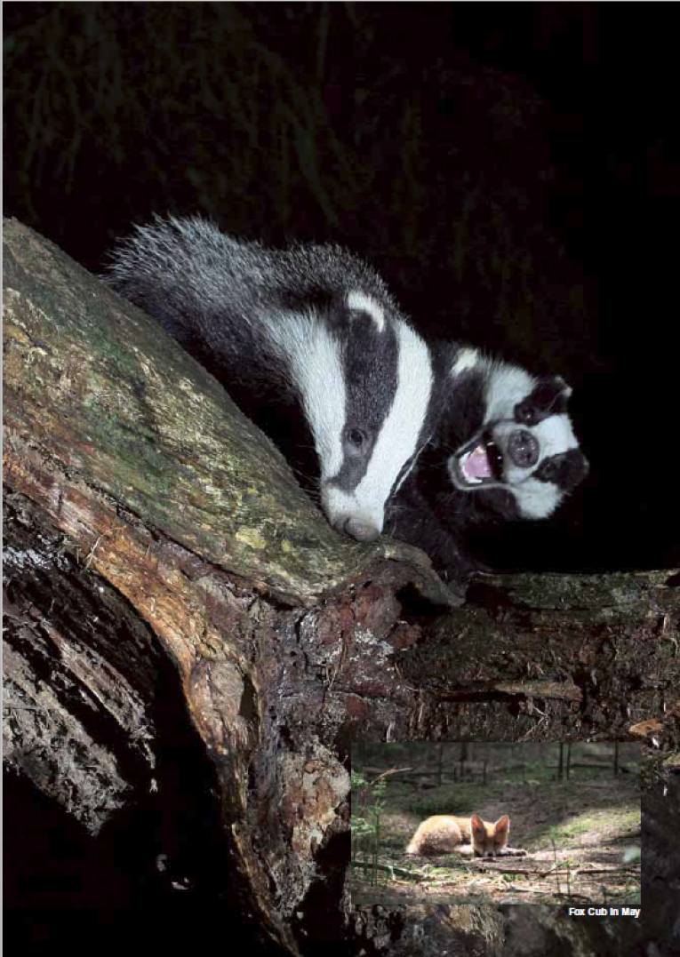 People Profile - Neil Longhurst - Cranleigh Magazine