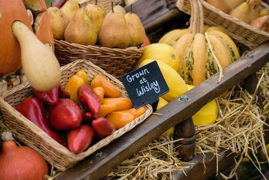 Taste of Autumn - Cranleigh Magazine