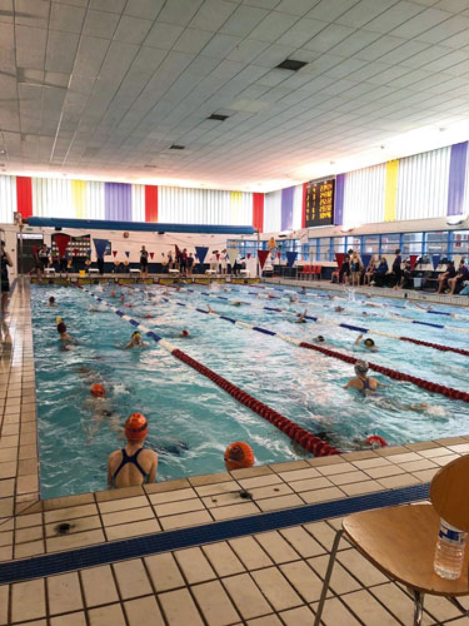 Cranleigh Amateur Swimming Club - Hope On The Horizon! - Cranleigh Magazine