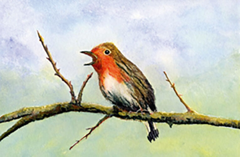 Garden Life - December 2020 - Gill Ford - Cranleigh Magazine