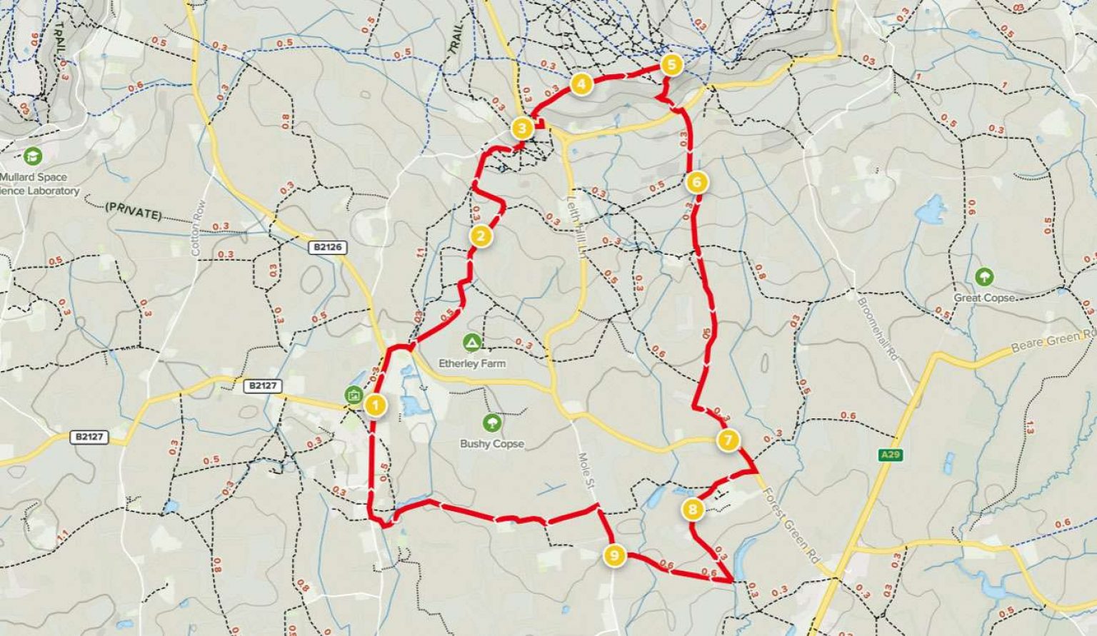 Counting Steps - The Parrot, Leith Hill and Jayes Park Walk - AllTrails ...