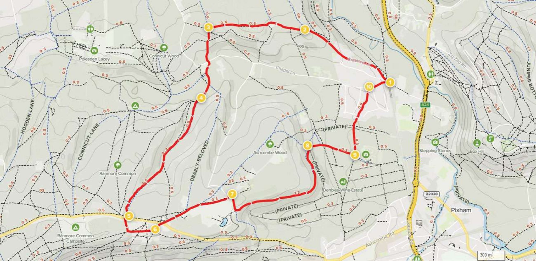 Counting Steps - Ranmore Circular - AllTrails - Cranleigh Magazine