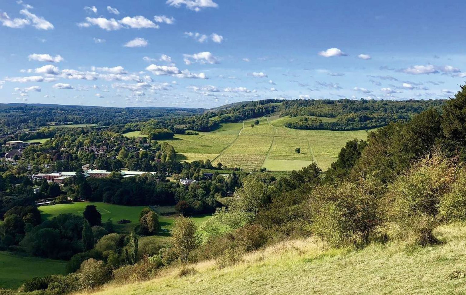 Counting Steps - Box Hill Stepping Stones Walk - AllTrails - Cranleigh ...