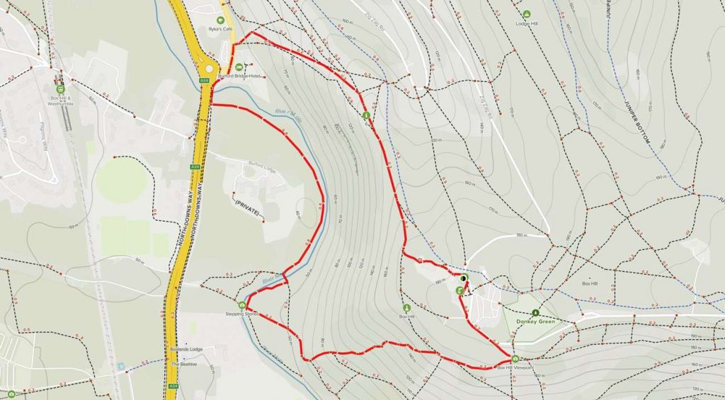 Counting Steps - Box Hill Stepping Stones Walk - AllTrails - Cranleigh ...