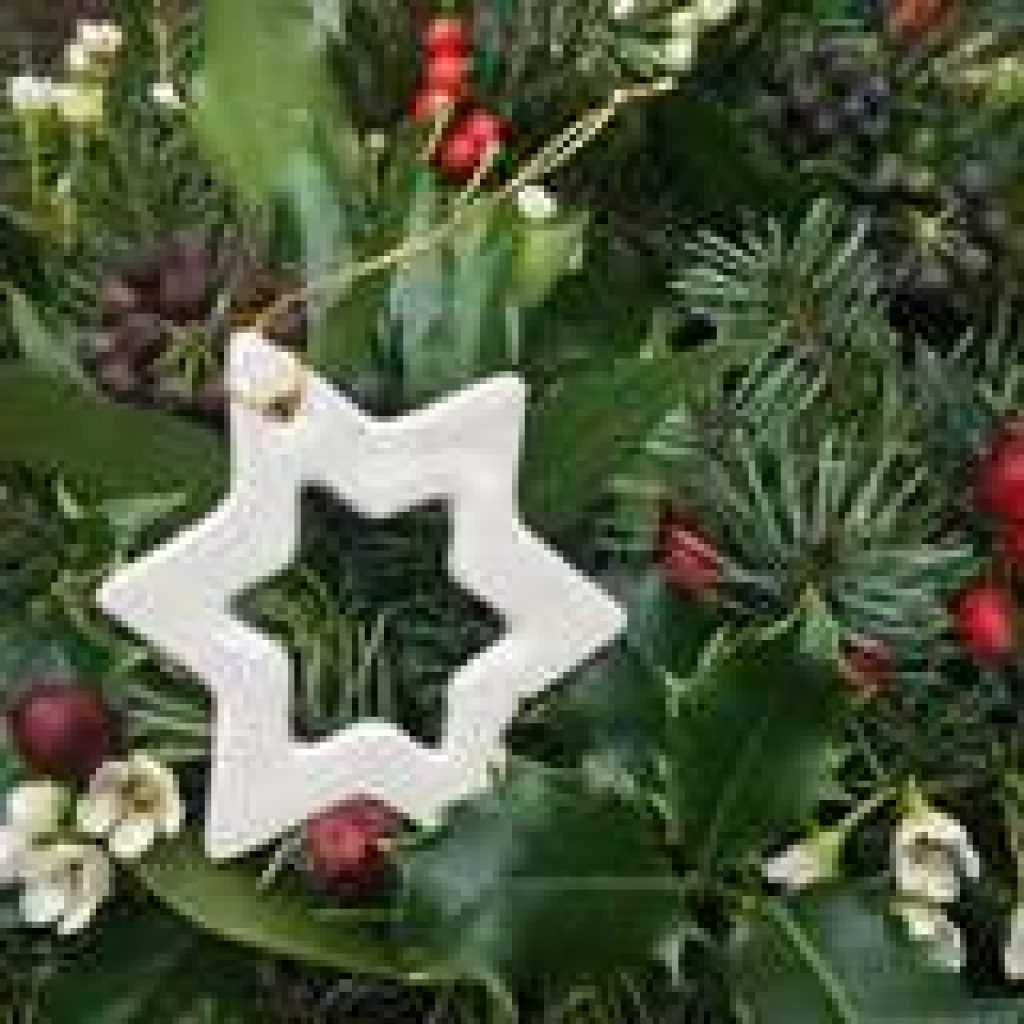 Cranleigh Arts Centre - November 2021 - Cranleigh Magazine