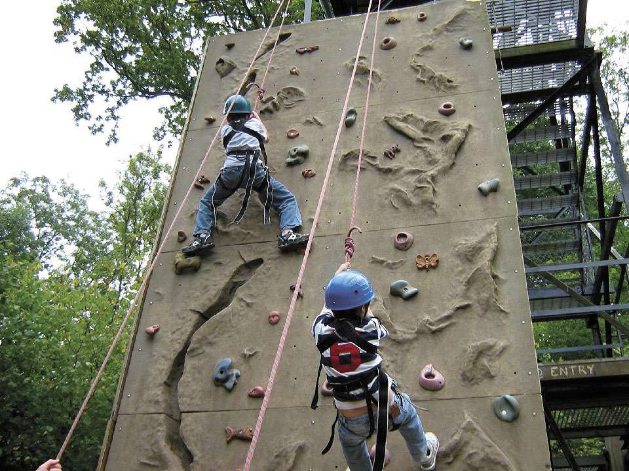 Sayers Croft Trust - Family Fun Day - Cranleigh Magazine