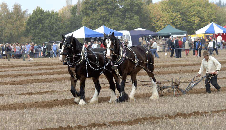 Horse Ploughing Match, Show & Country Fair - Cranleigh Magazine