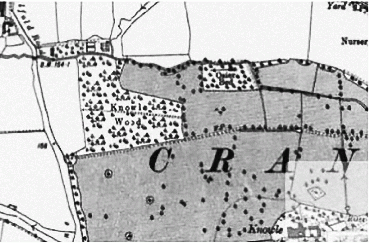The Joy of Cranleigh: Walking Cranleigh - A Watery Walk - Cranleigh ...